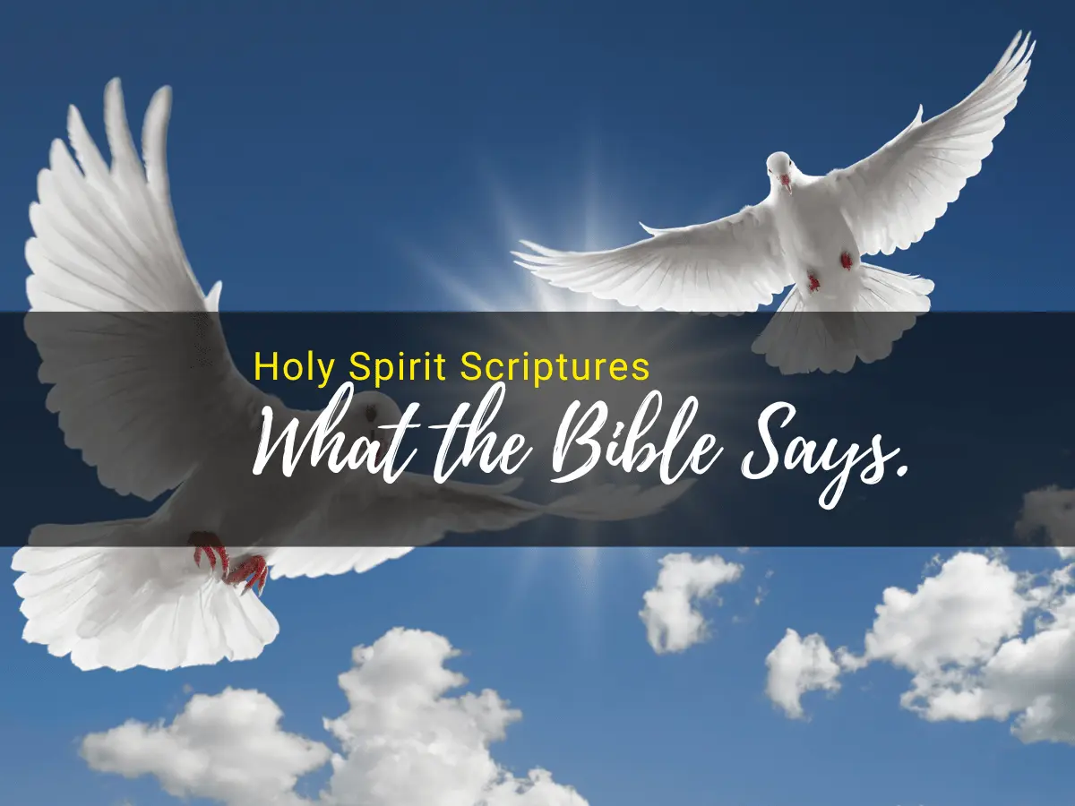 Holy Spirit Scriptures